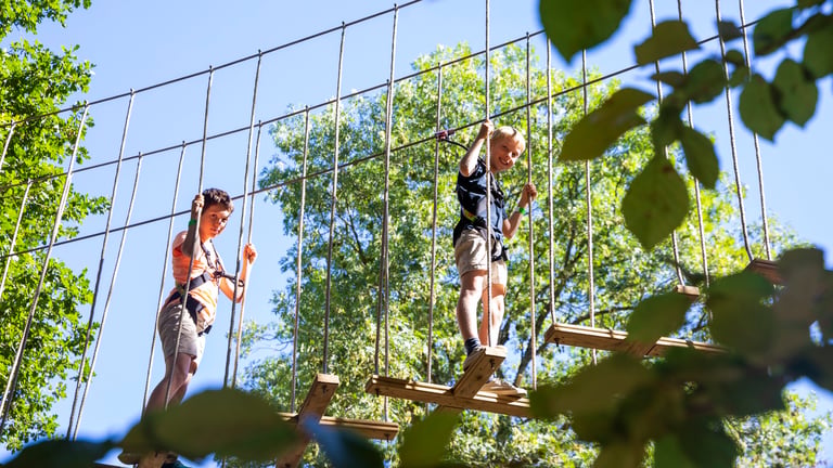 Go Ape Battersea Park | Attractions Near Me