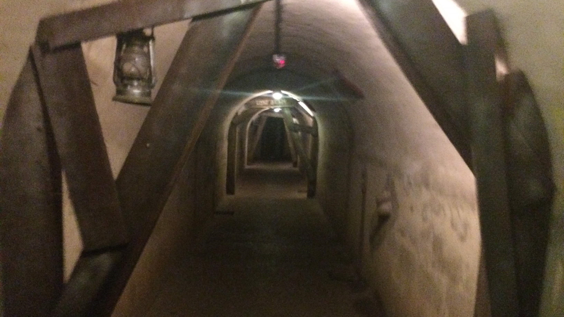 Raptor Attack – REMOVED | Attractions Near Me