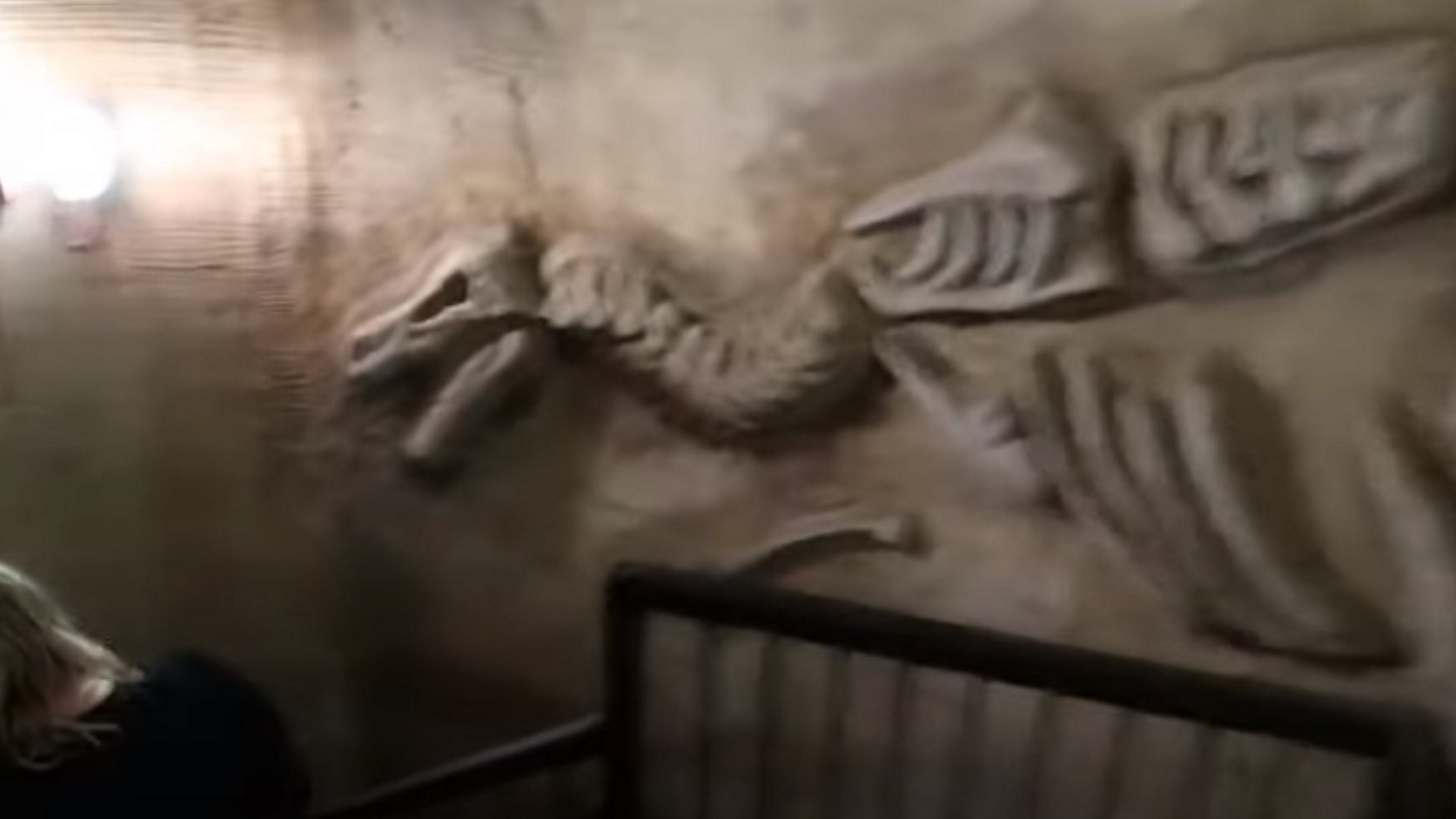 Raptor Attack – REMOVED | Attractions Near Me