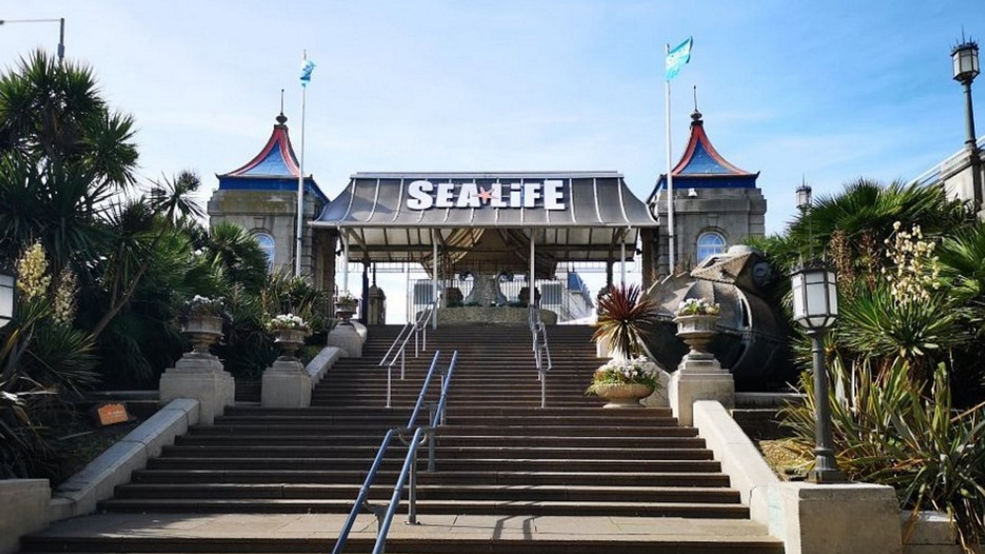 SEA LIFE Brighton | Attractions Near Me