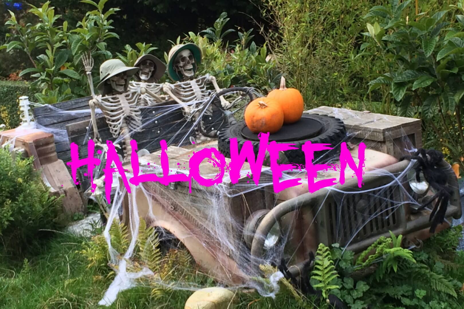 Thorpe Park Fright Nights | Attractions Near Me