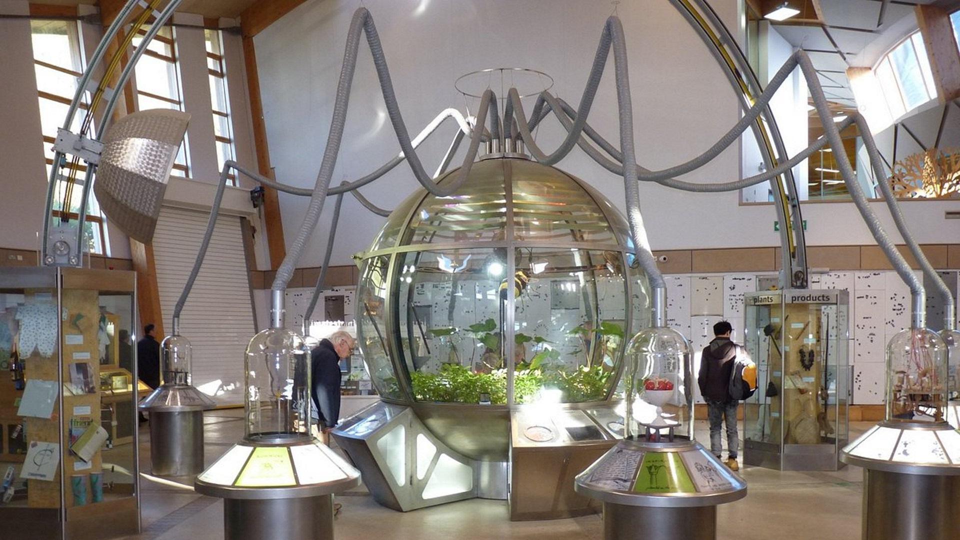 Eden Project | Attractions Near Me