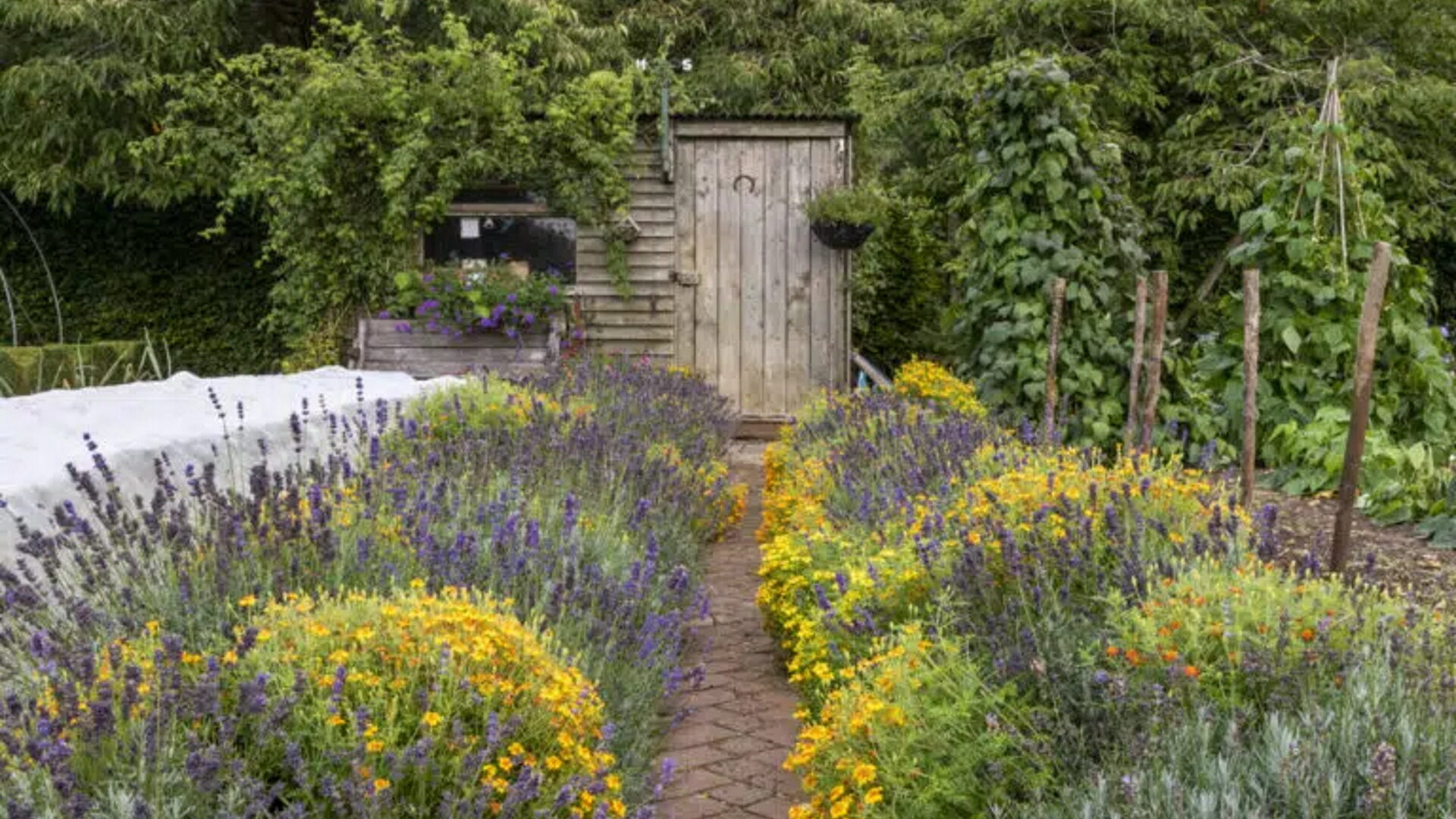 Barnsdale Gardens | Attractions Near Me