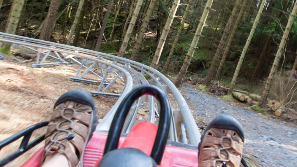 Fforest Coaster | Attractions Near Me