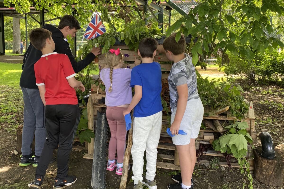 Things to Do Near Me | Attractions Near Me