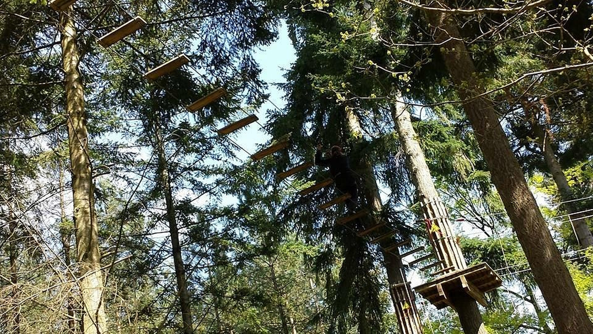 Go Ape Wyre Forest | Attractions Near Me