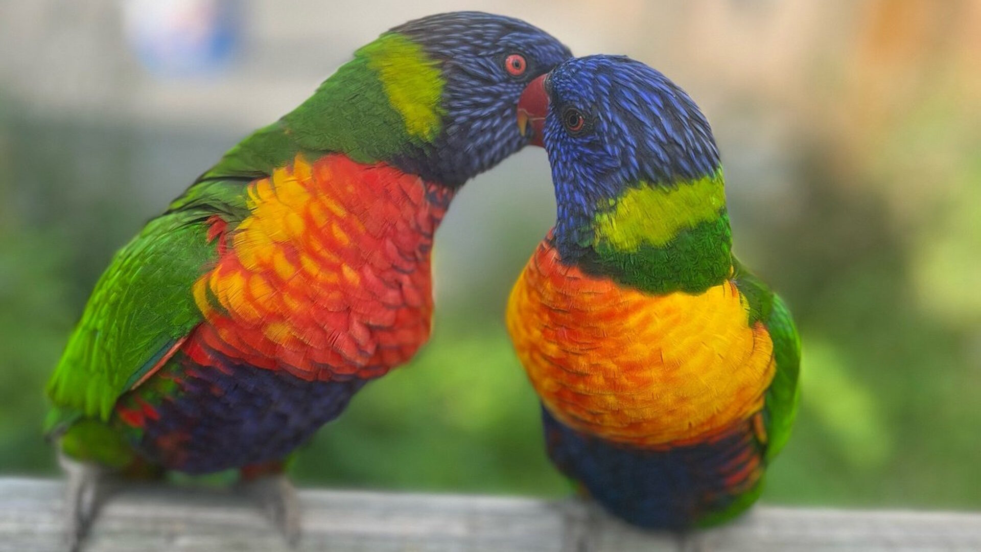 Hoo Zoo & Dinosaur World | Attractions Near Me