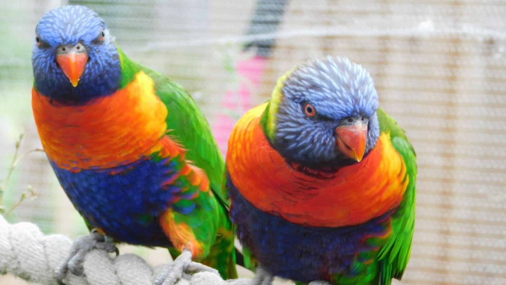 Hoo Zoo & Dinosaur World | Attractions Near Me