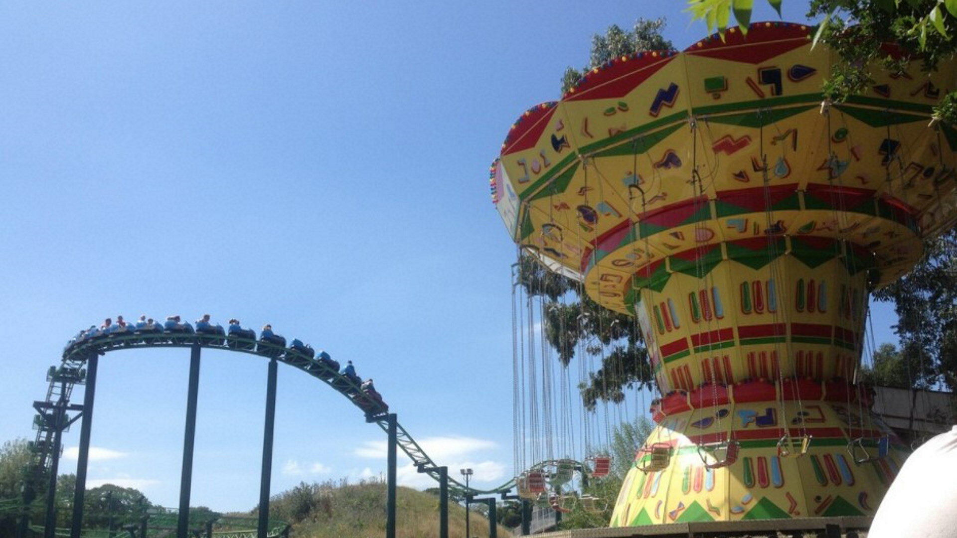 The BIG Sheep | Attractions Near Me