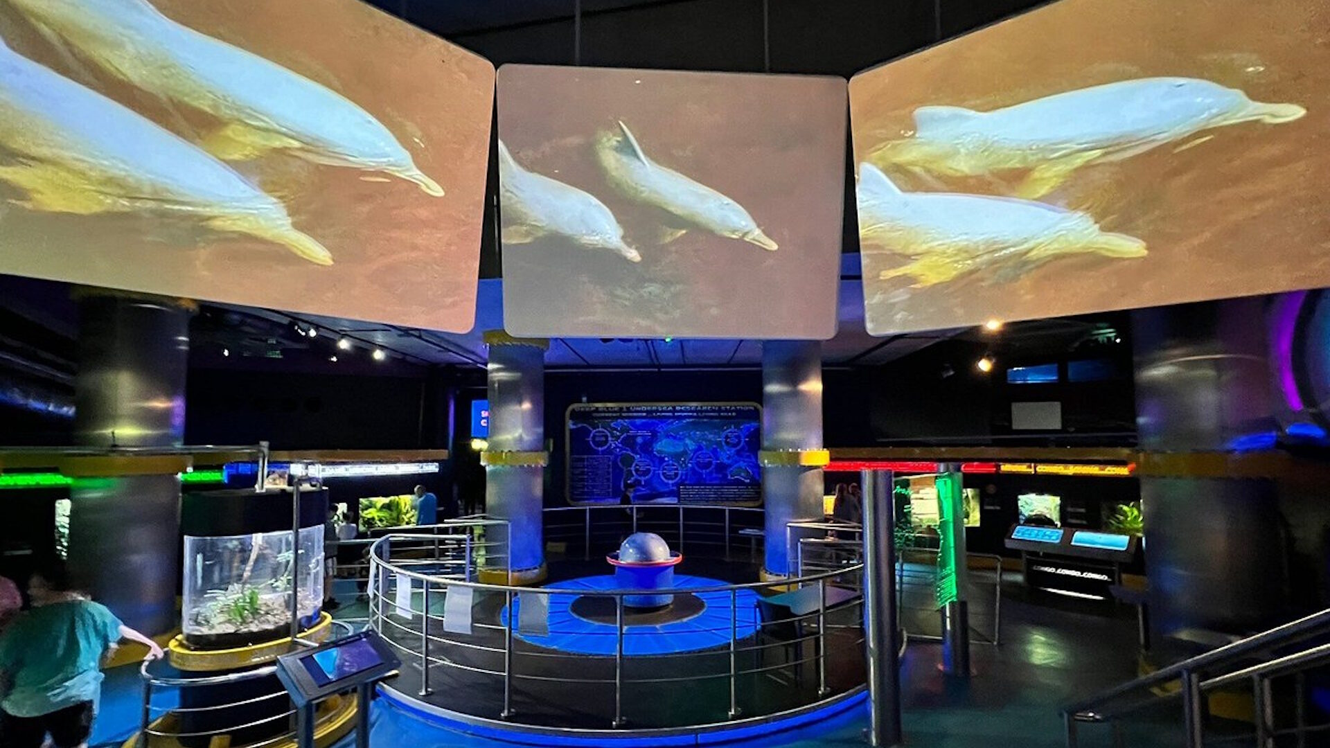 The Deep | Attractions Near Me