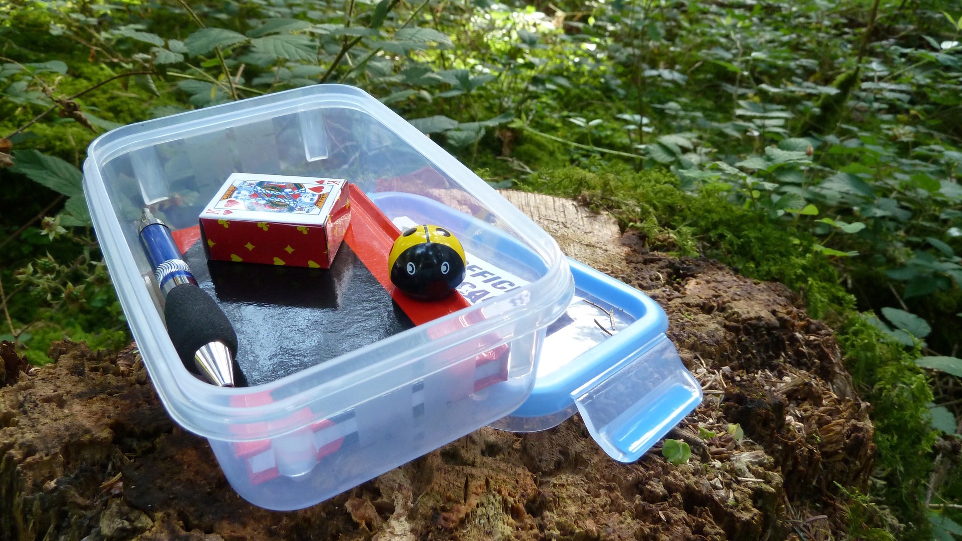 Geocaching - A Great Free Activity | Attractions Near Me