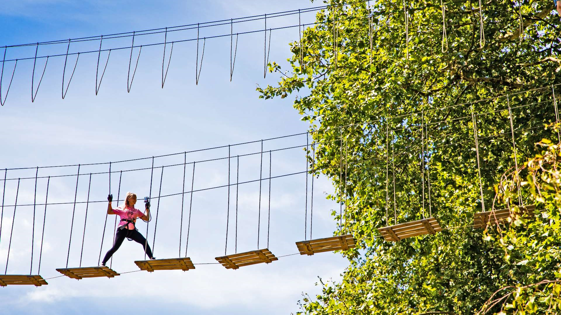 Go Ape Battersea Park | Attractions Near Me