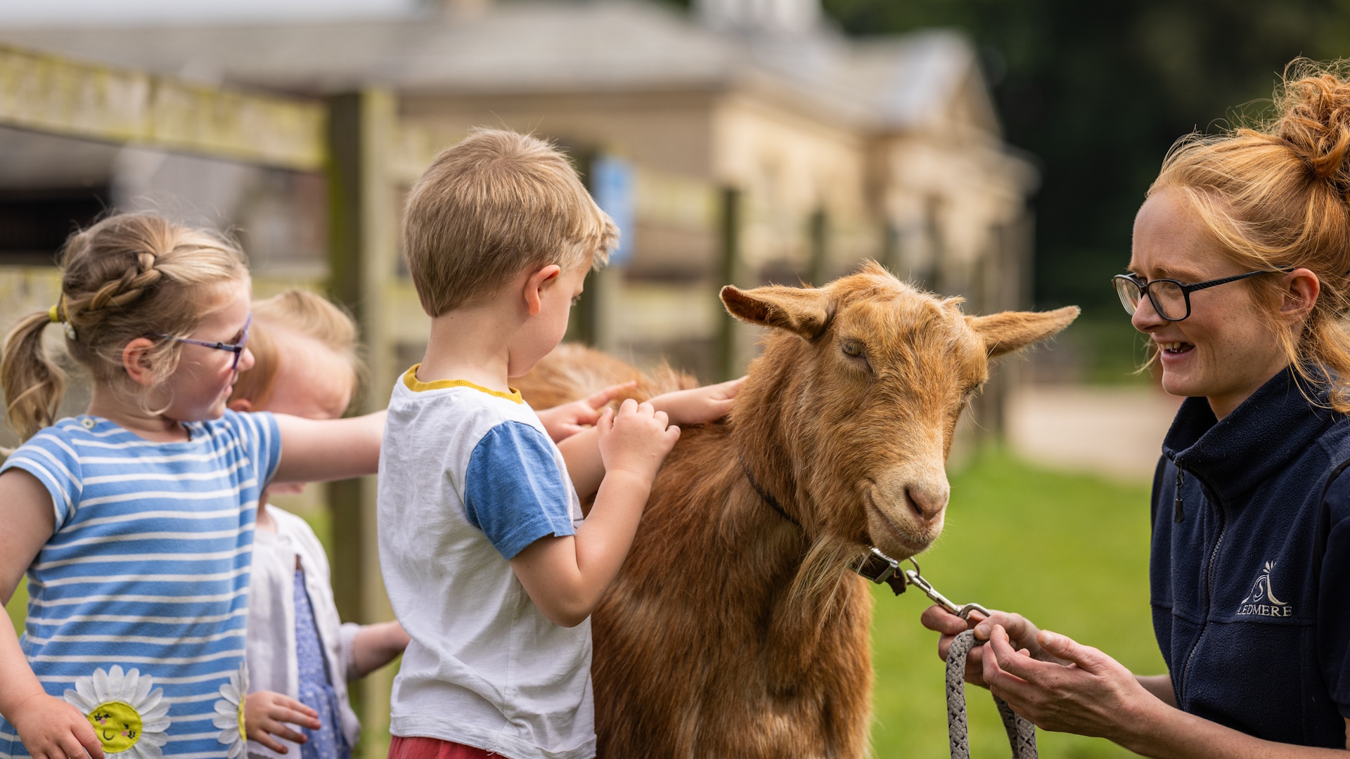 The Deep | Attractions Near Me