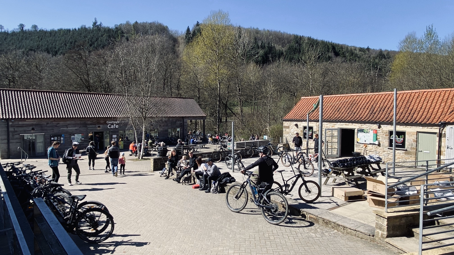 Dalby Forest Review | Attractions Near Me