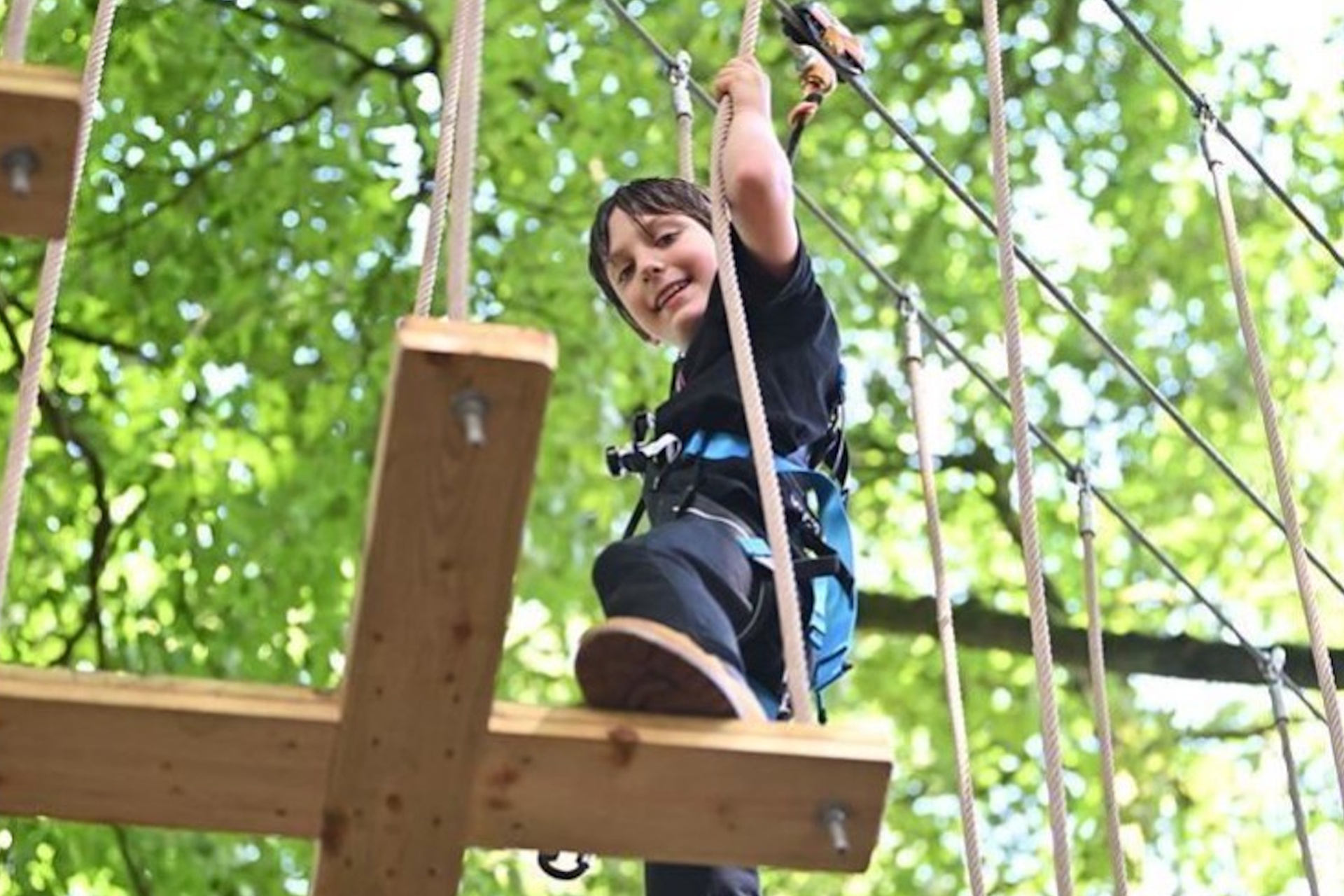 Sealife Adventure | Attractions Near Me